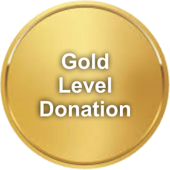 Gold Level Donation – SUPPORT BENUE SOUTH FOR GOVERNOR 2027-2031